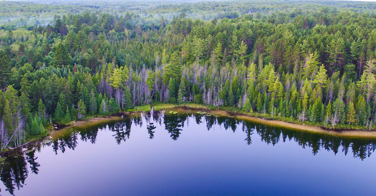 Clear Skies Ahead Climate Stability and Policies in Michigan Mitigate ...